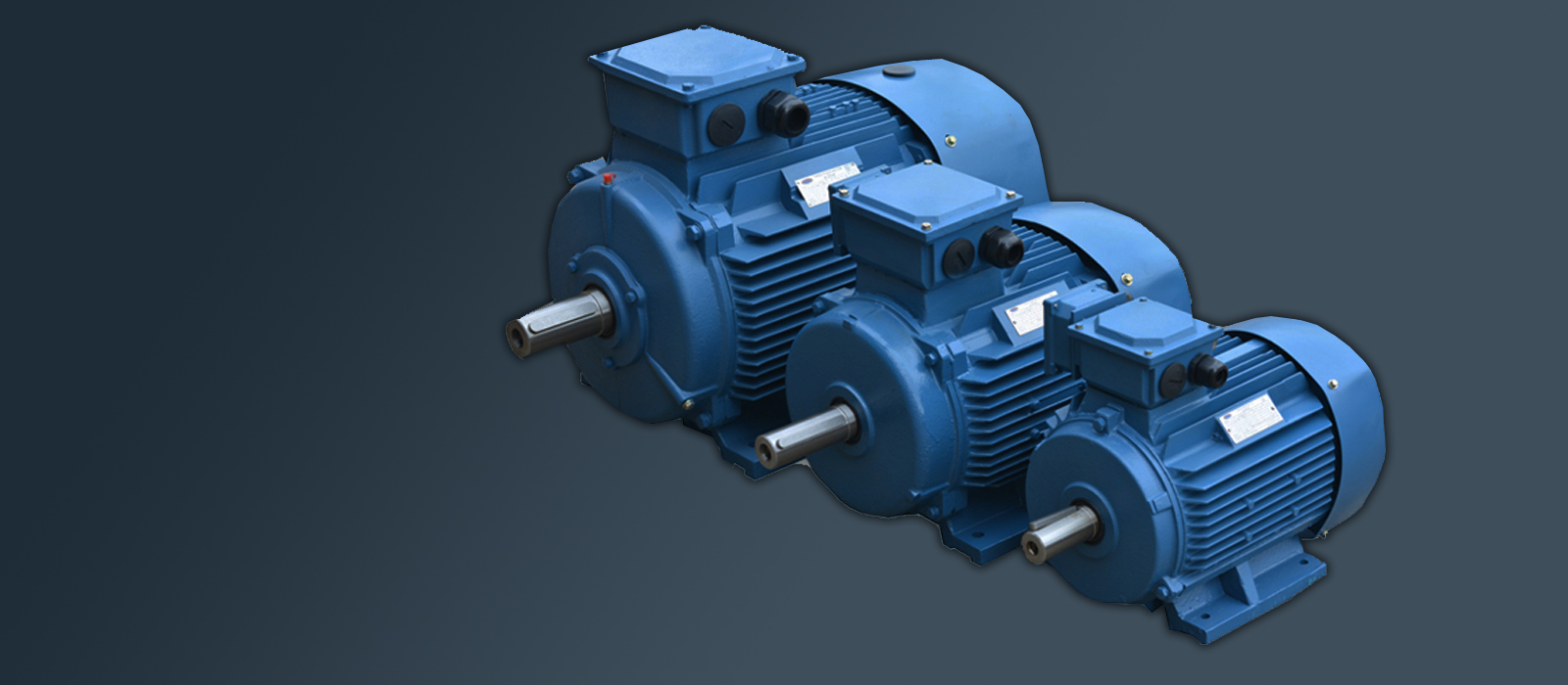 products – EMT OMEC Motors